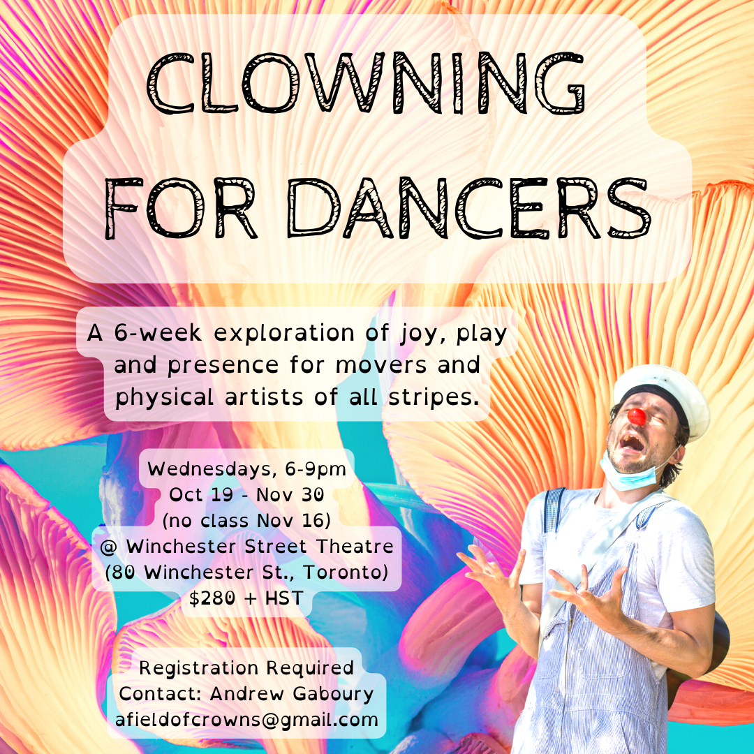 Postponed: CLOWNING FOR DANCERS – a field of crowns